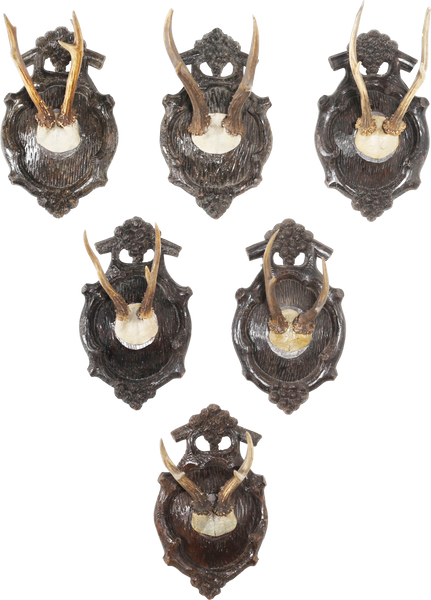 BLACK FOREST ROE DEER TROPHY MOUNTS SET OF SIX C.1880’S – Fagan Arms