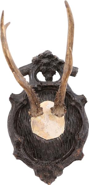 BLACK FOREST ROE DEER MOUNT C.1880’S – Fagan Arms
